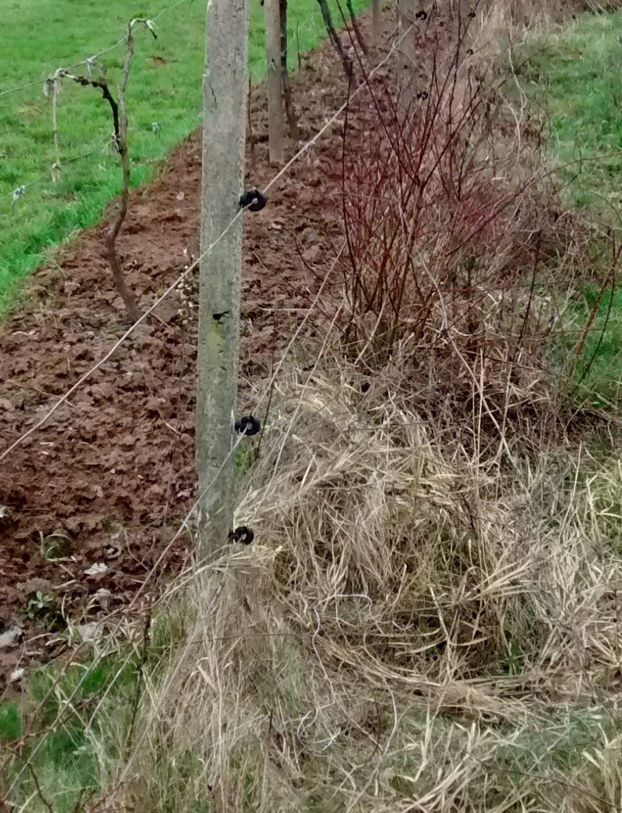 Concrete fencepost insulators - Andrew Ray